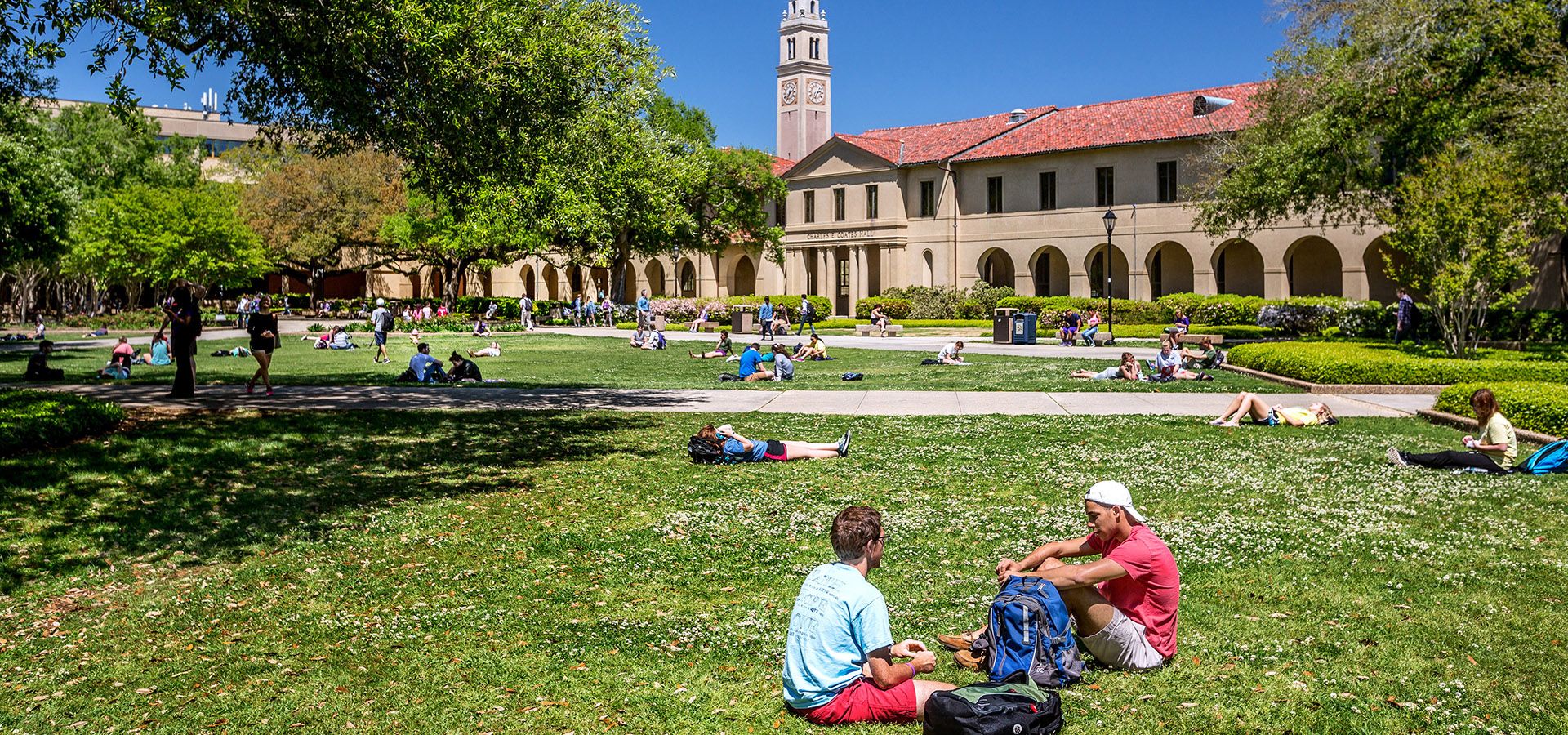 Home | LSU Digital Media Arts & Engineering